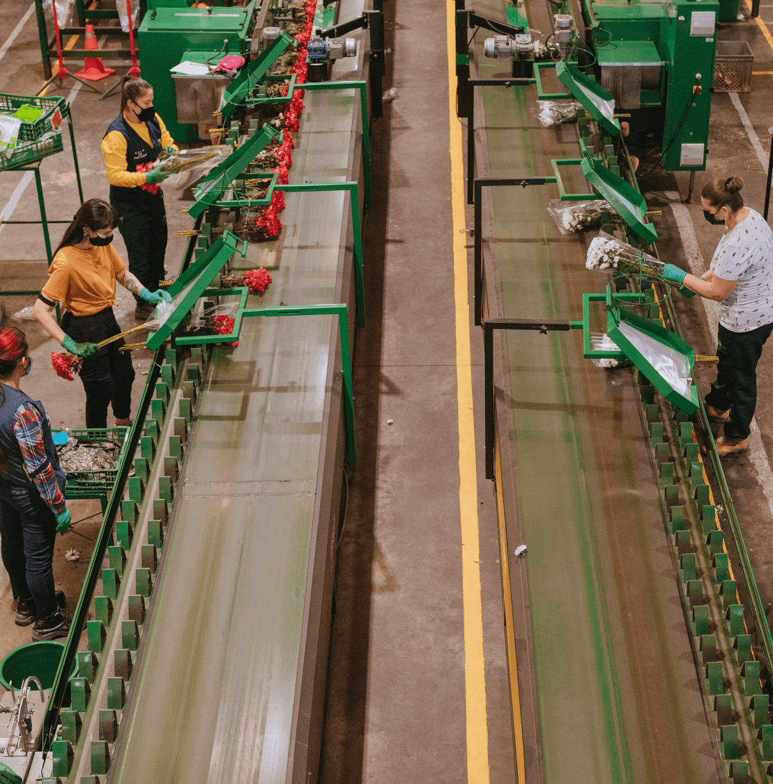 Capiro | We grow satisfaction